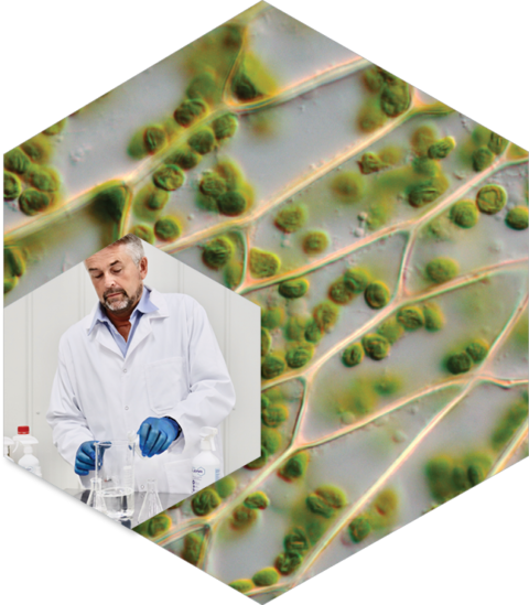 Bioinnovate Technology | ViroCLEAR